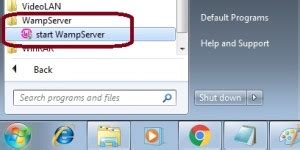Run PHP Using Wampserver