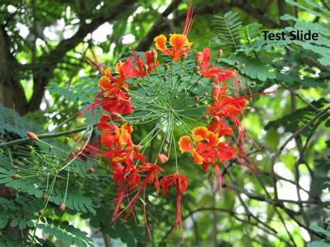 Bioinformatics Exam Point Of View Ppt