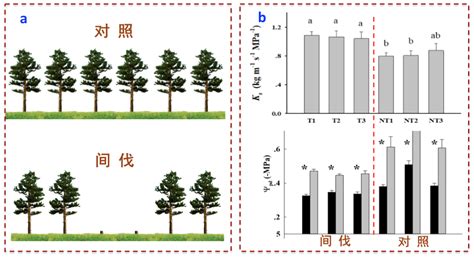 学科组介绍 中国科学院沈阳应用生态研究所植物生理生态组