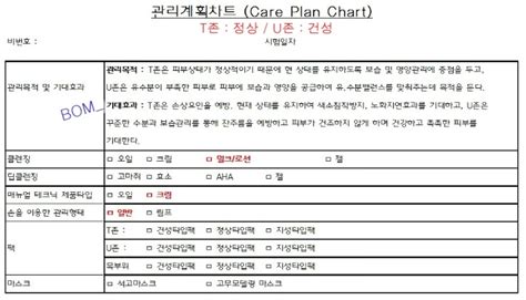 피부미용관리차트 피부미용관리계획차트 타입별 네이버 블로그