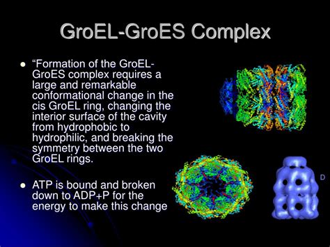Ppt Groel And Groes Powerpoint Presentation Free Download Id 1246878