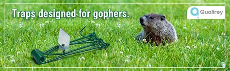 Qualirey 8 Pcs Outdoor Gopher Trap Easy Set Mole Trap Weather Resistant Gopher Qualirey 8 Pcs Outdoor Gopher Trap Easy Set Mole Trap Weather Resistant Gopher