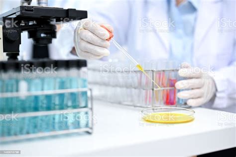 전문 화학자 또는 과학자가 페트리 접시의 액체 화학 샘플을 조정합니다 잘린 이미지 Stem 주제에 대한 스톡 사진 및 기타