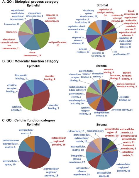 Functional Categorization Of Differentially Expressed Genes In