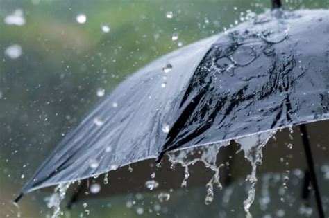 Weather Update Rain Predicted From May 28 To June 1