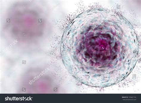 2459 Cell Dying Royalty Free Photos And Stock Images Shutterstock