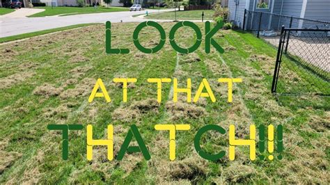 How Does A Dethatching Rake Work At Erwin Marlatt Blog