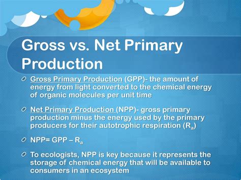 Net Primary Productivity Vs Gross Primary Productivity
