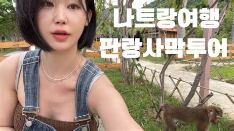🇻🇳베트남 브이로그 나트랑 8박9일 여행 산티아고 판랑투어 양떼목장 쫑선사원 포도농장 포시즌 레스토랑 판랑사막