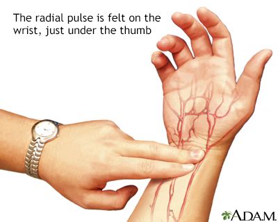 Pulse Information Mount Sinai New York
