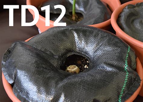 Zynnovation LLC Tree Diaper