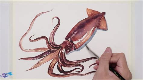 Realistic Squid Drawing