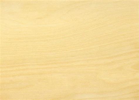 Клен текстура древесины 32 фото