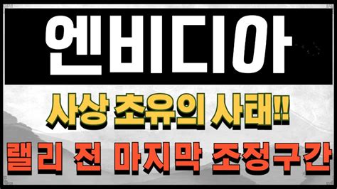 엔비디아 주가전망 사상 초유의 사태 Ai반도체 서프라이즈 랠리 전 마지막 조정구간 Youtube