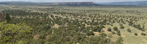 Headlands Trail New Mexico 244 Reviews Map Alltrails