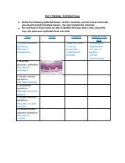 Understanding Epithelial Tissues Functions And Locations Course Hero