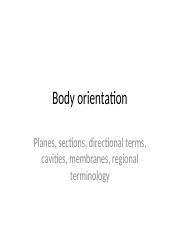 Understanding Body Orientation And Anatomic Position Course Hero