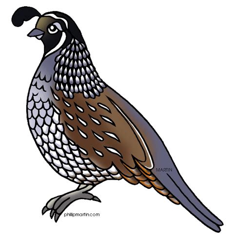 Free Quail Hunting Cliparts Download Free Quail Hunting Cliparts Png