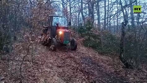 Данас је Бадњи дан Домаћин рано ујутру иде у сечу бадњака — Rt Balkan