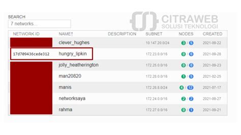 Penggunaan Zerotier Di Mikrotik Routeros