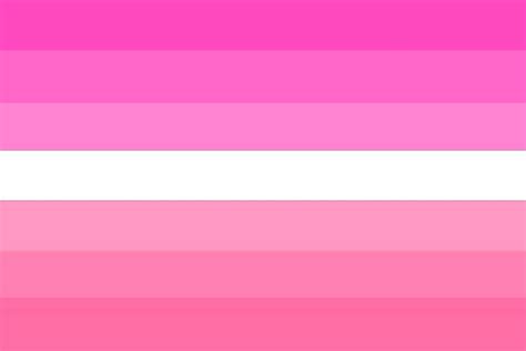 Obsessive Love Disorder Lesbian Flag En 2022