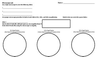 Simple Slide Microscope Lab By Sietsma Science TPT