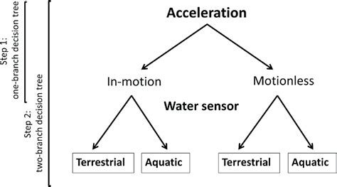 Two Step Decision Tree For Classifying The Main Activities Of