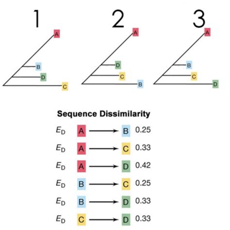 Micromicrobial Classification Exam 1 Flashcards Quizlet