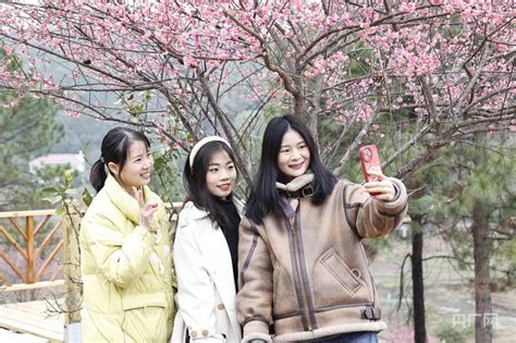 江西上栗： 陌上花开春意浓 乡村“蝶变”幸福长周汉君发展梅花