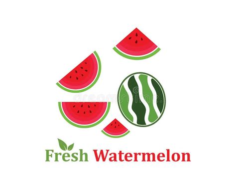 Watermelon Logo Icon Vector Illustration Stock Vector Illustration Of