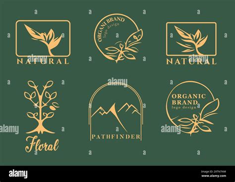 Elegant Natural And Organic Logo Designs In Golden Hue Stock Vector
