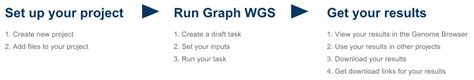 graph germline variant detection workflow tutorial