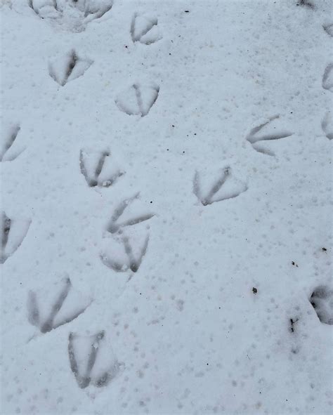 Malvina Hoffman Malvina Hoffman Added A New Photo — At