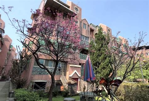 興達大鎮桃園市楊梅區中山南路公寓楊梅景觀重疊透天 房屋出售 樂屋網