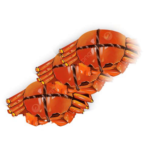 Hairy Crab PNG Transparent Delicious Food Hairy Crab Pattern Food Hairy Crab Creativity PNG