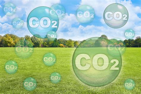 【2024最新】「碳匯」是儲存二氧化碳的倉庫！一文看懂綠碳、－esg永續台灣