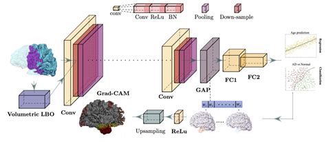 Tetcnn Convolutional Neural Networks On Tetrahedral Meshes Geometry Systems Laboratory