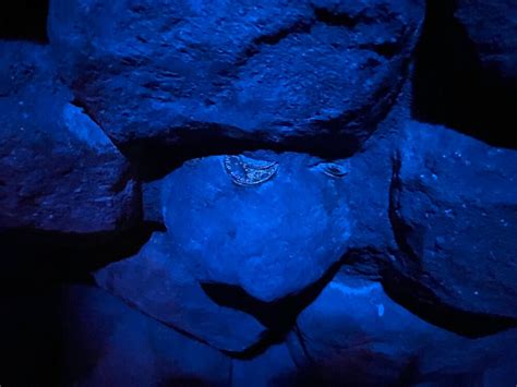 トムソーヤ島の宝物はどこ？インジャンジョーの洞窟の壁を探そう【ディズニーランド】 高圧洗浄機おたくの洗車and掃除サイト