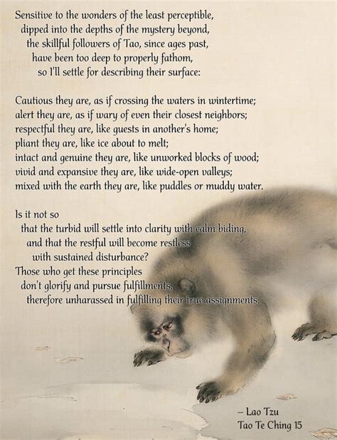 Tai Chi And Nervous System Rtaoism