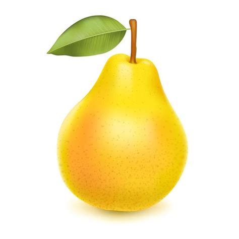 Реалистичная желтая груша с листиком | Премиум векторы | Fruit shop ...