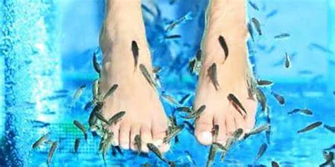 The Benefits Of A Fish Foot Massage Heidi Salon