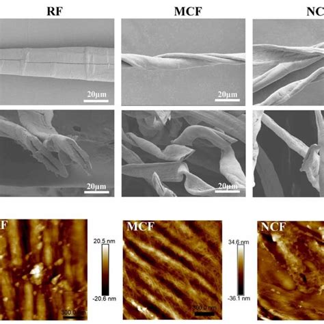 A The Surface Morphologies Of Fiber Samples Were Observed Under Sem