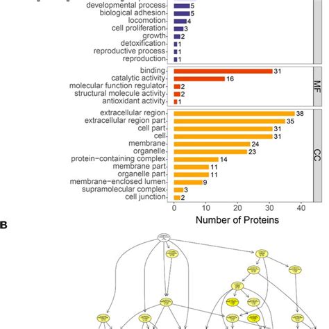 Differentially Expressed Proteins Identified A 280 Differentially