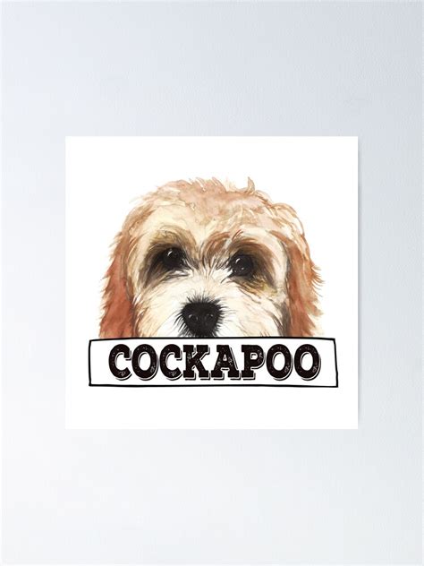 Peeking Cockapoo Poster For Sale By Micheleaust Redbubble