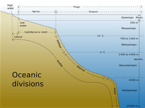 Survival In The Open Ocean Sealearning