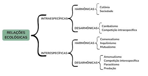 Sociedade Mapa Mental Ologia🧓 Descubra A Emoção Do Jogo Com Sonhar