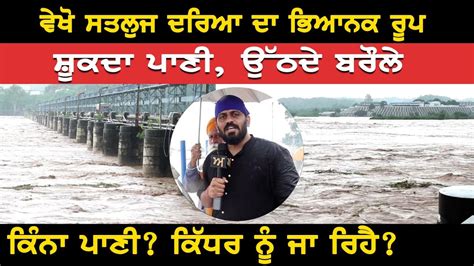 ਵੇਖੋ ਸਤਲੁਜ ਦਰਿਆ ਦਾ ਭਿਆਨਕ ਰੂਪ, ਸ਼ੂਕਦਾ ਪਾਣੀ, ਉੱਠਦੇ ਬਰੌਲੇ | Akhar - YouTube