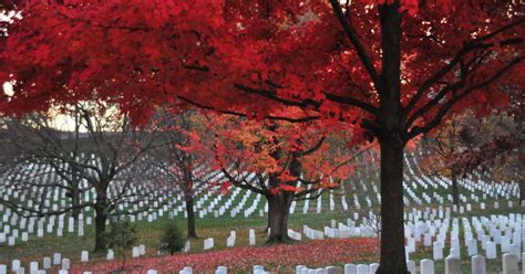 2 Hour Arlington Cemetery Morning Guided Walking Tour GetYourGuide