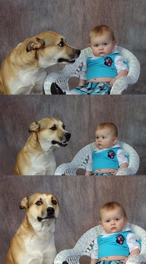 Pun Dog Meme