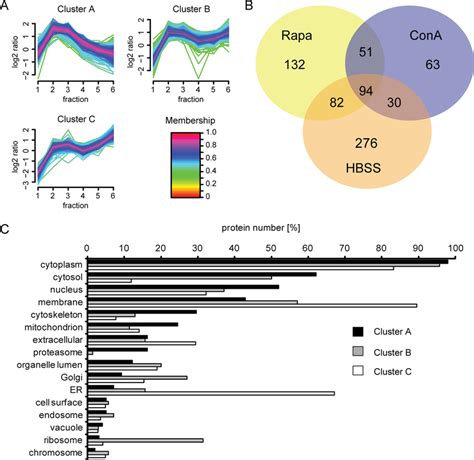 Cluster Analysis Of Pcp Silac Data A Cluster Analysis Of Protein